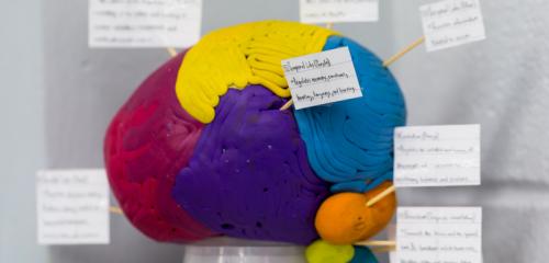 AP Psychology | AP Central — The College Board